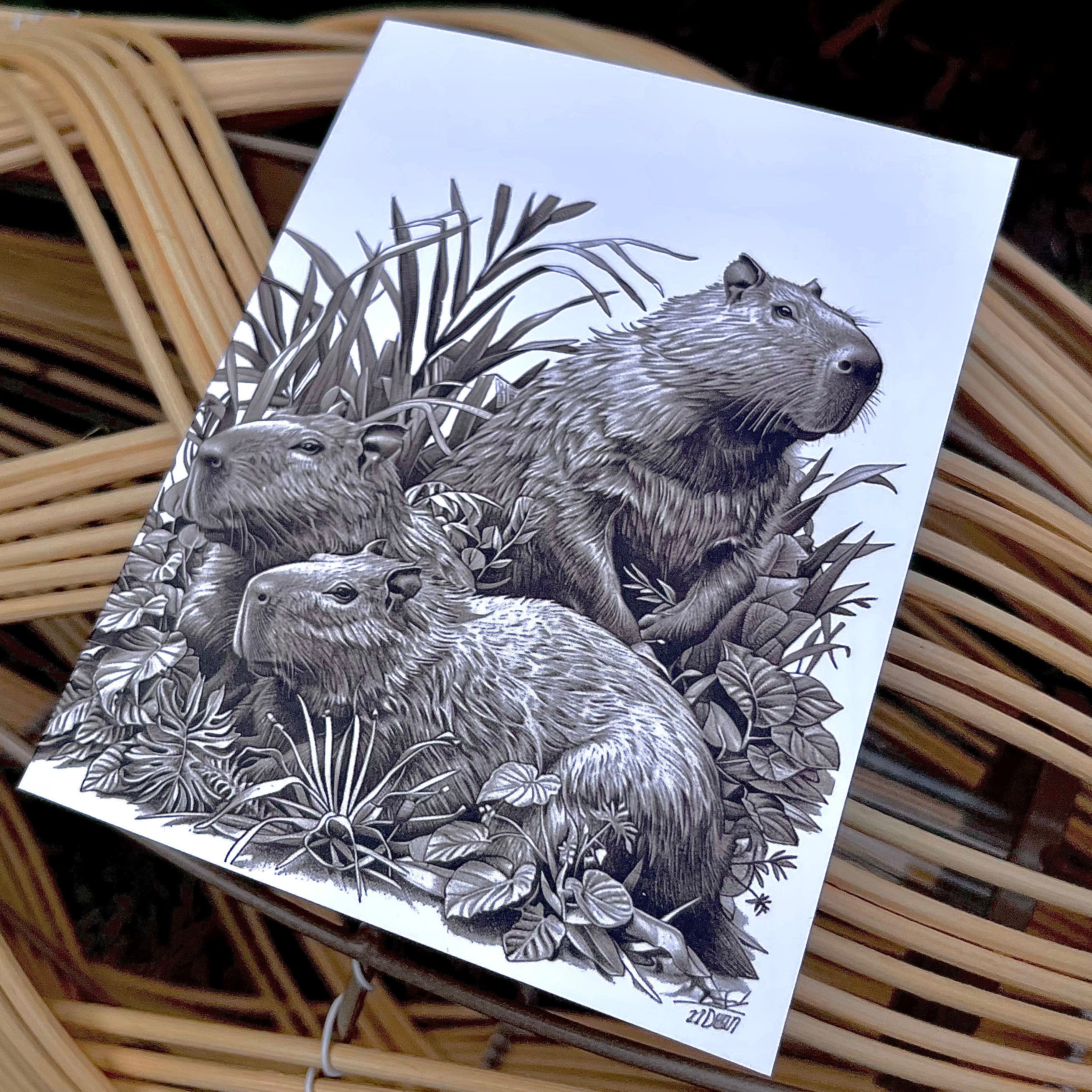 Capybara cards – Ink & Stars